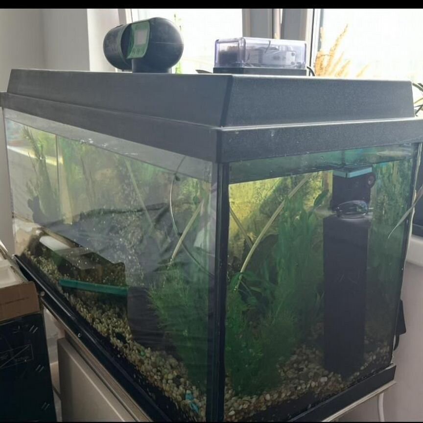 Аквариум Juwe с крышкой и светом 100 литров