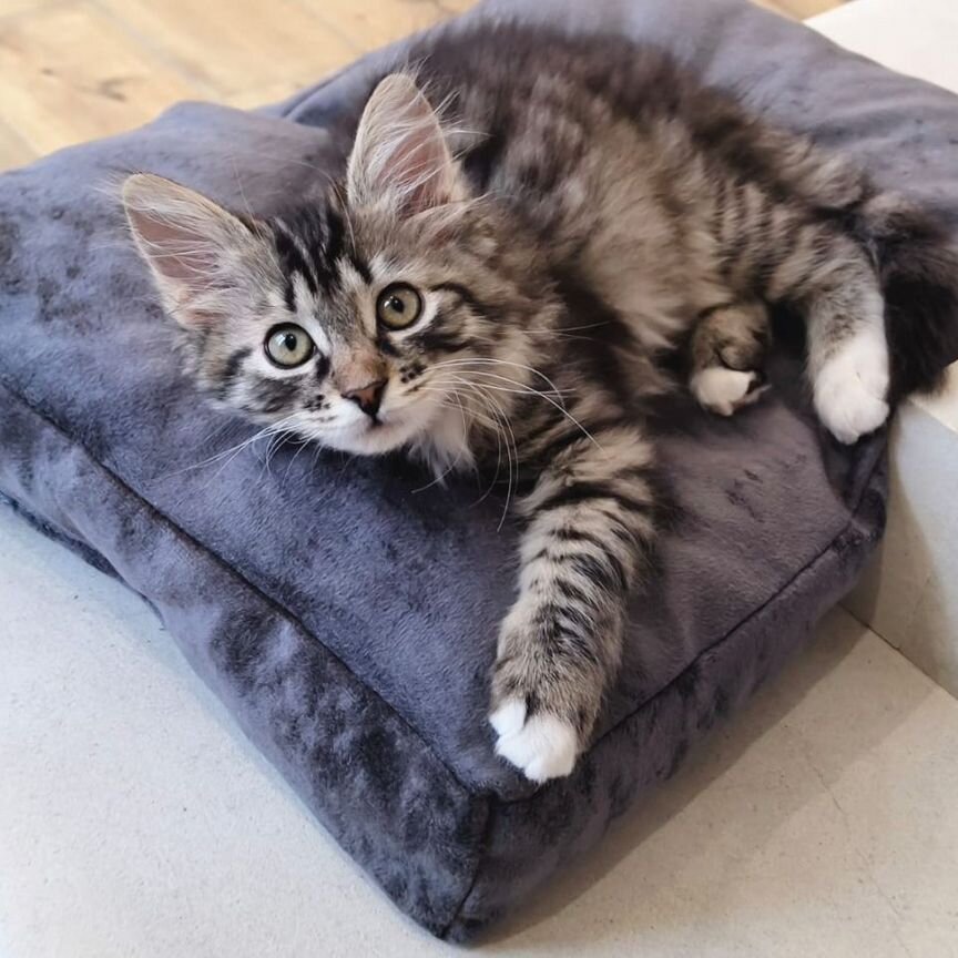 Лежанка для животных, на подоконник