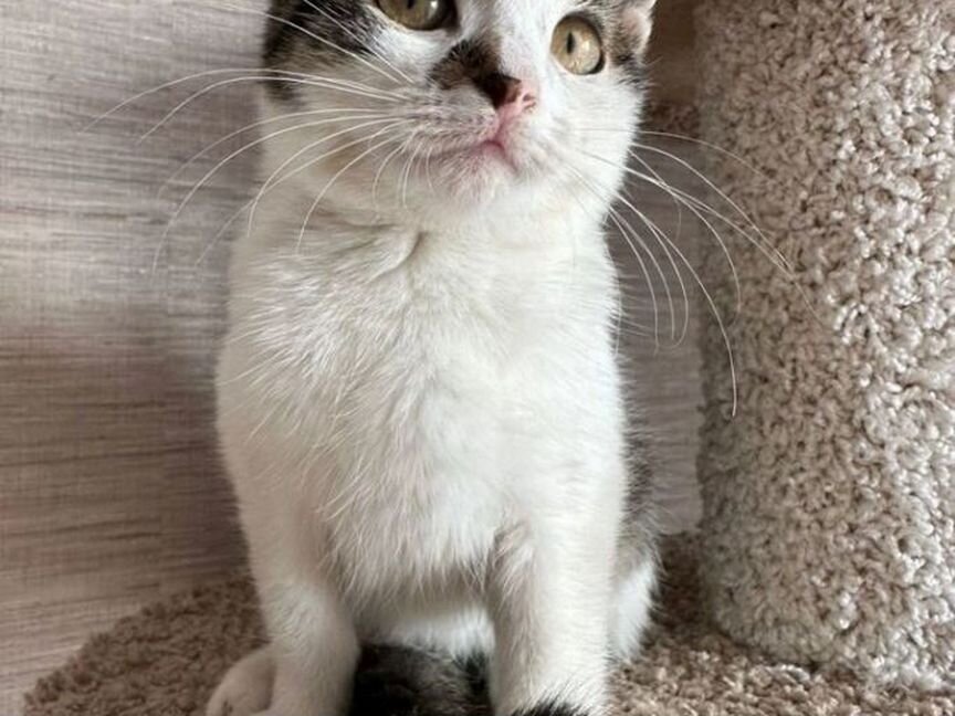 Милая Полинка 3 мес