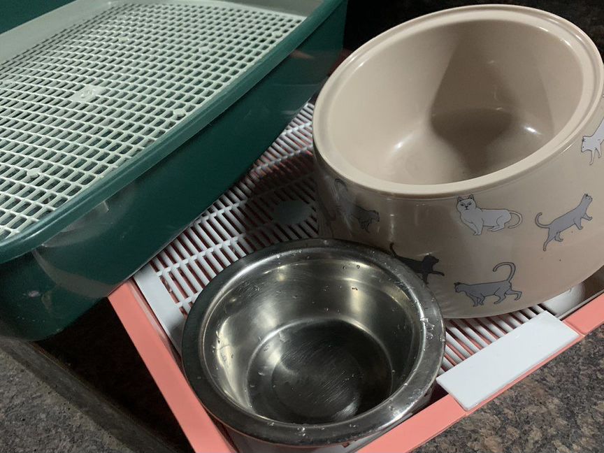 Набор кошачьих пренадлежностей