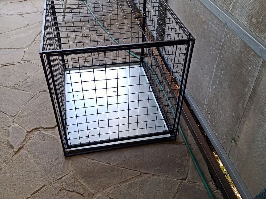 Клетка для перевозки собак в аренду