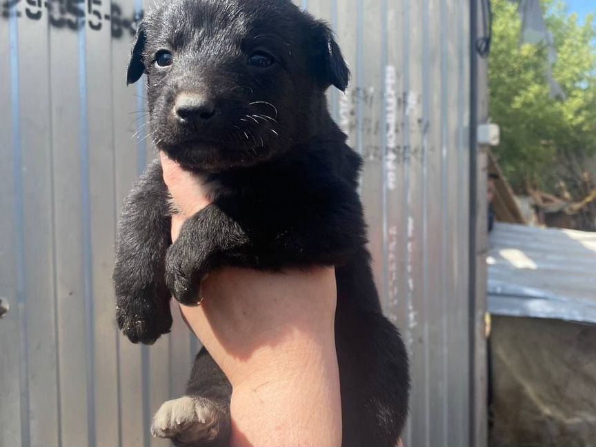 Малышам очень нужен дом