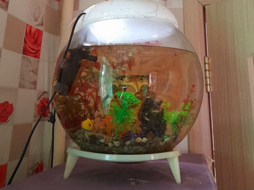 Аквариум круглый стеклянный бу