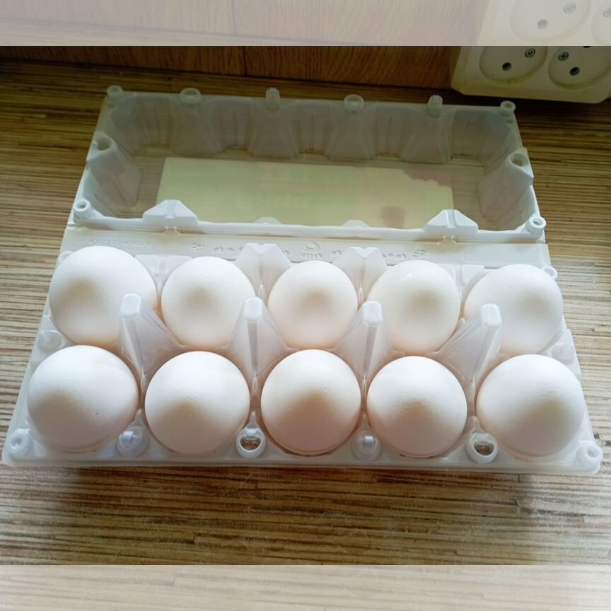 Инкубационное яйцо породистых кур Леггорн