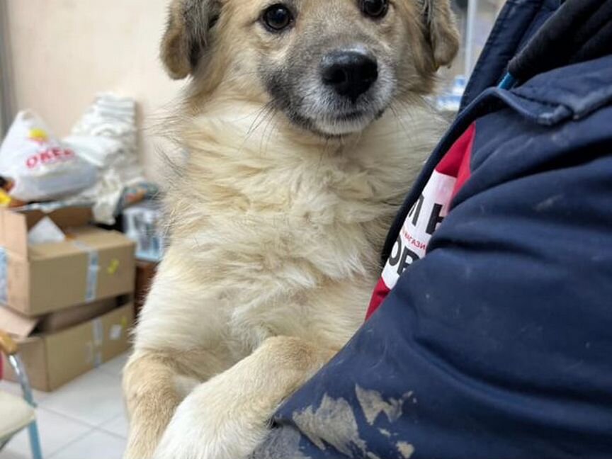 Хороший малыш выпуск январь