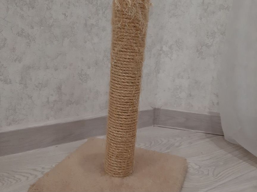 Когтеточка, лотки,воротник,когтерез,наполнитель