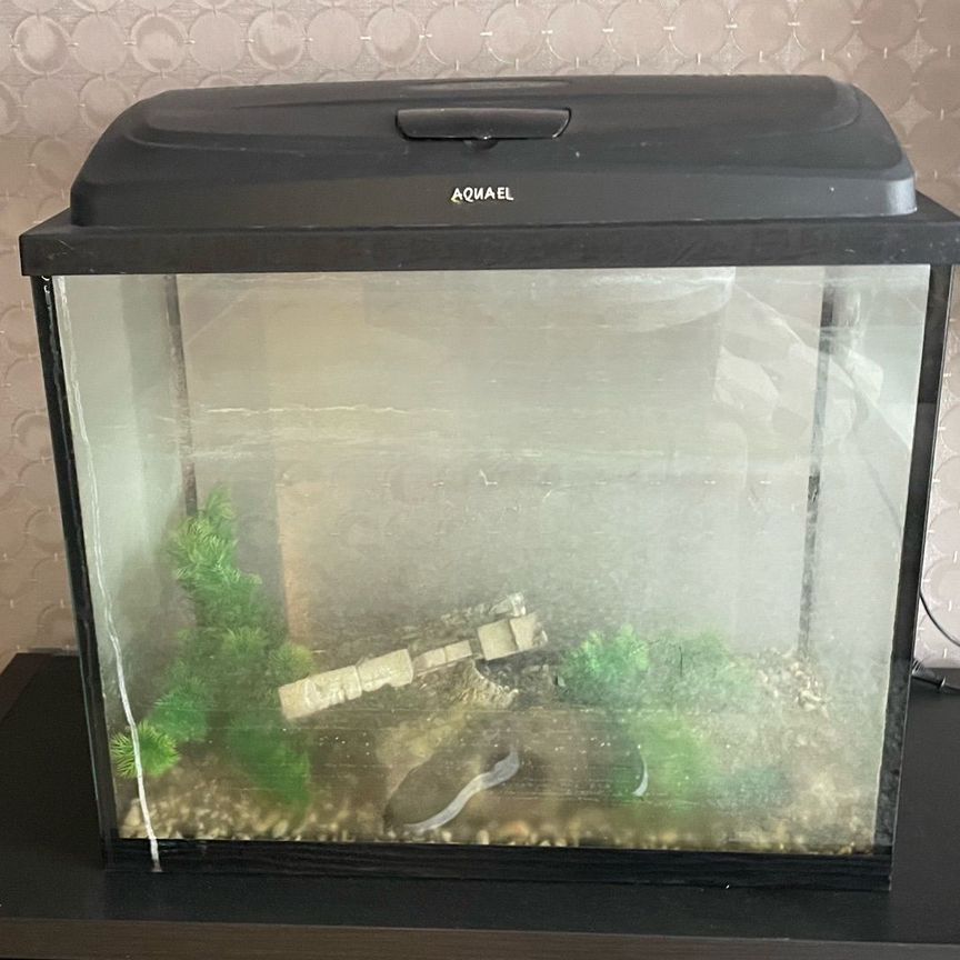 Аквариум