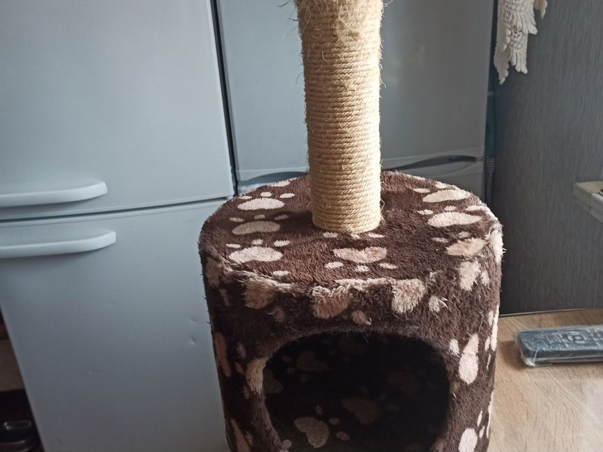 Когтеточка для котенка