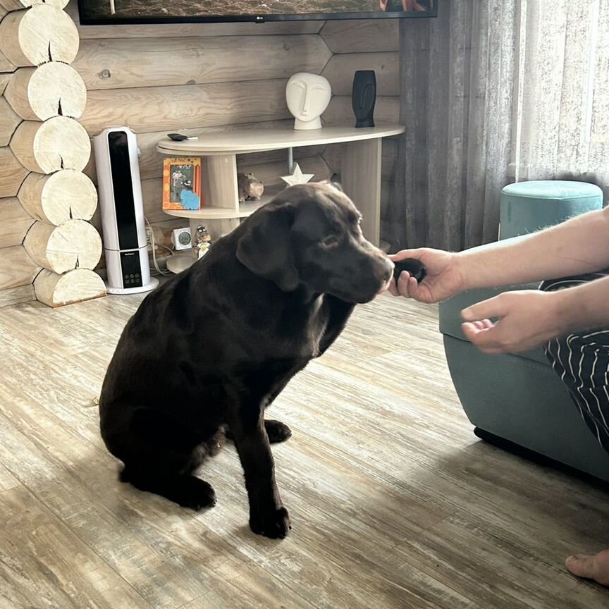 Мальчик ищет подругу