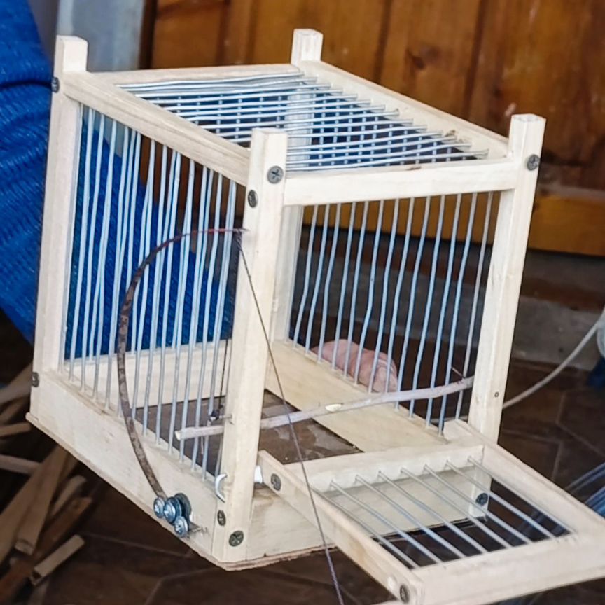 Ловушка для птиц западок