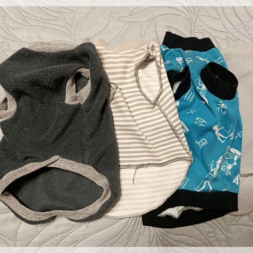 Одежда для сфинкса