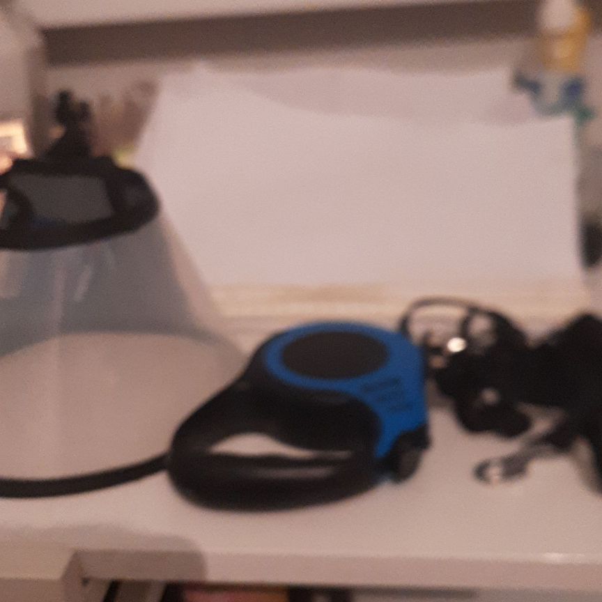 Поводок И воротник как бы