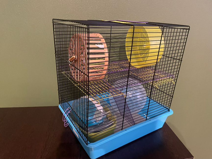 Клетка и все для грызуна