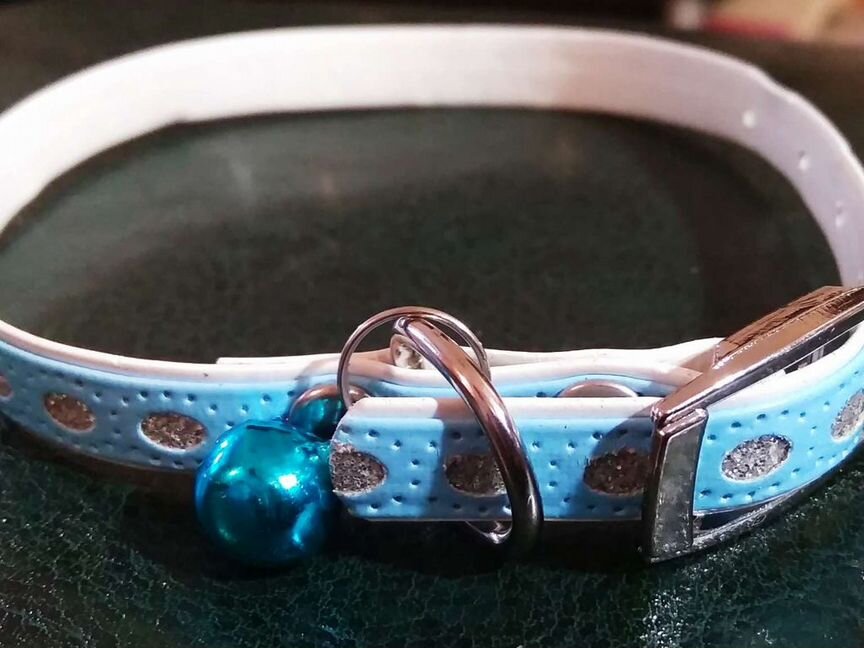 Ошейник для собак и котов