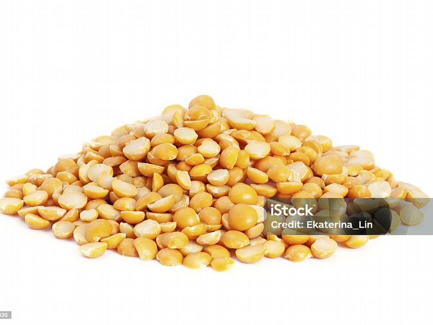 Горох продовольственный