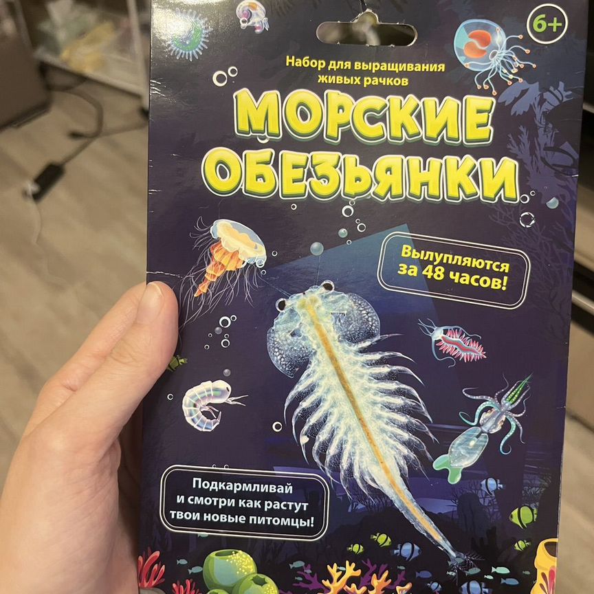 Набор для выращивания живых рачков
