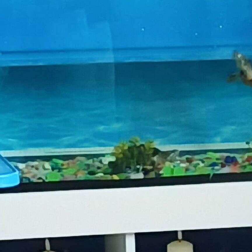 Продам аквариум на 240литров