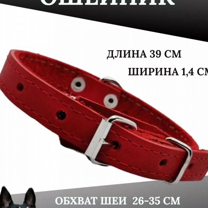 Ошейник для собак мелких пород