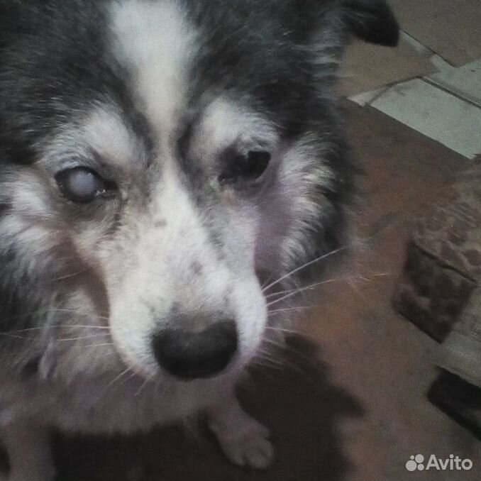 Машуня из зоны сво хочет узнать любовь и ласку