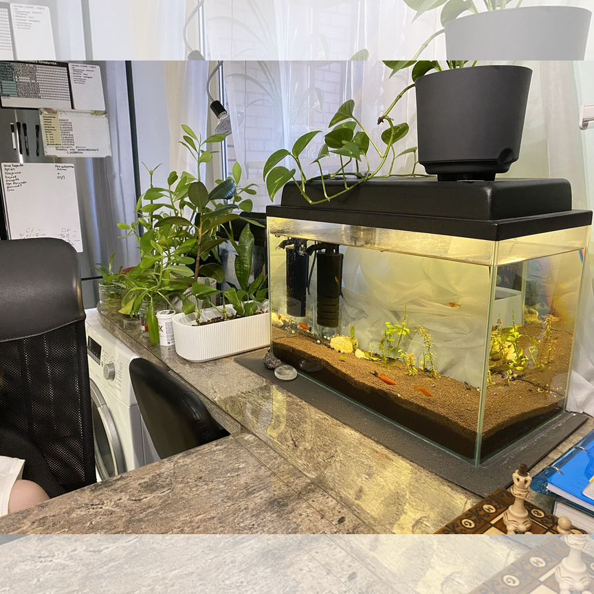 Аквариум с рыбками 50л  фильтр, сифон, куча всего