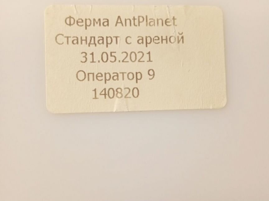 Формикарий (муравьиная ферма)