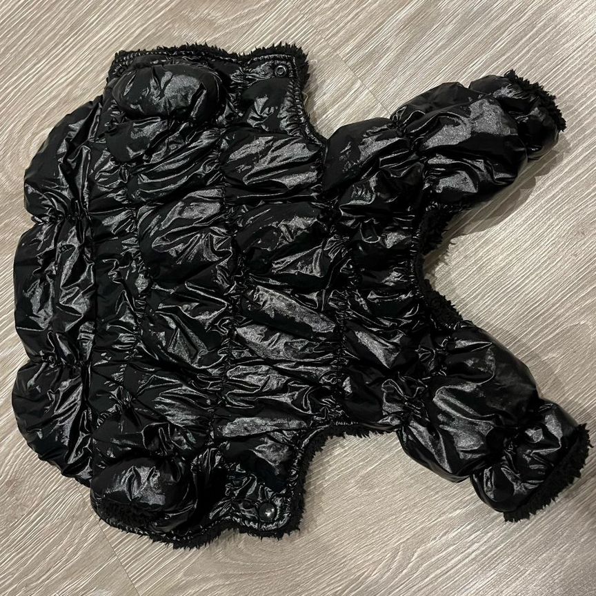 Одежда для собак