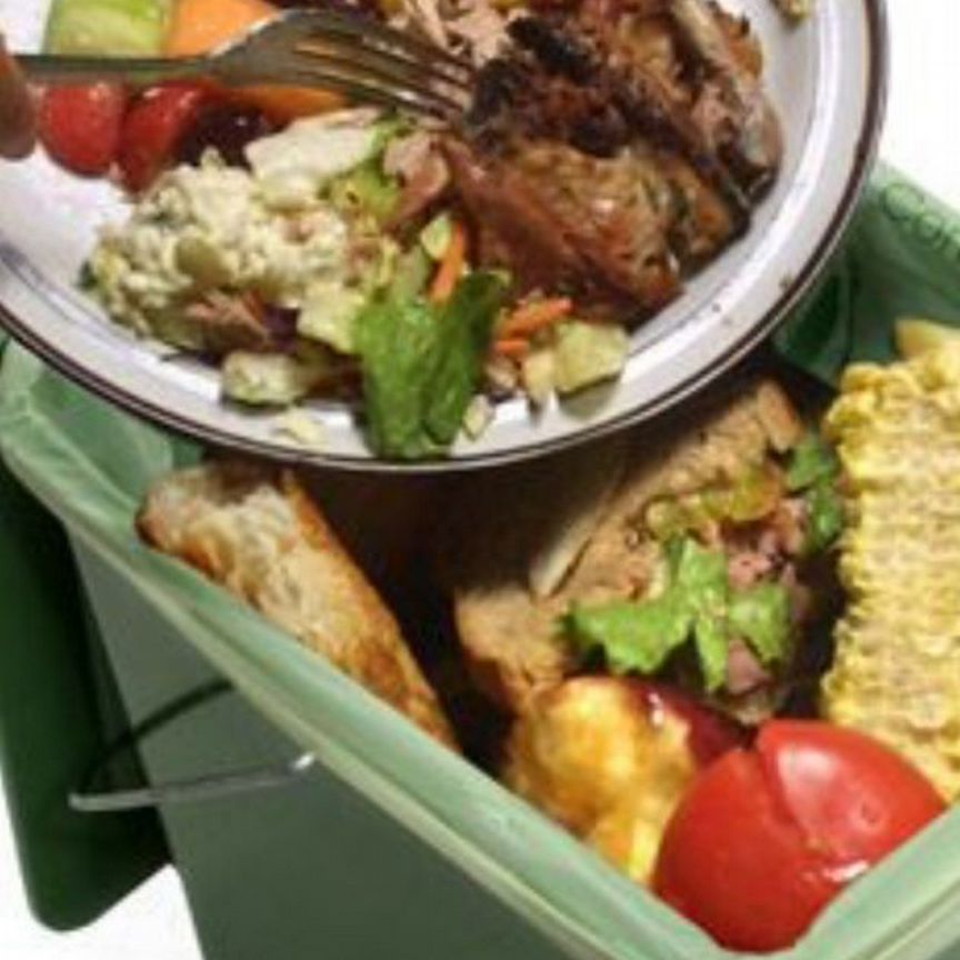 Отходы для собак и свиней