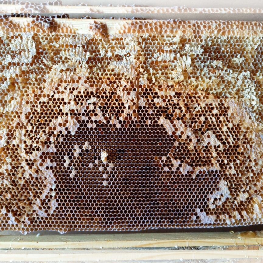 Рамки с сушью