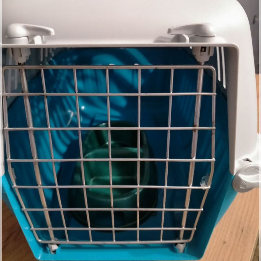 Домик для кошек и собак