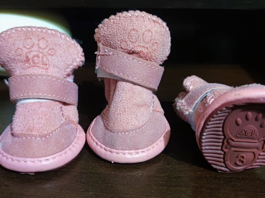 Ботинки для маленьких собак