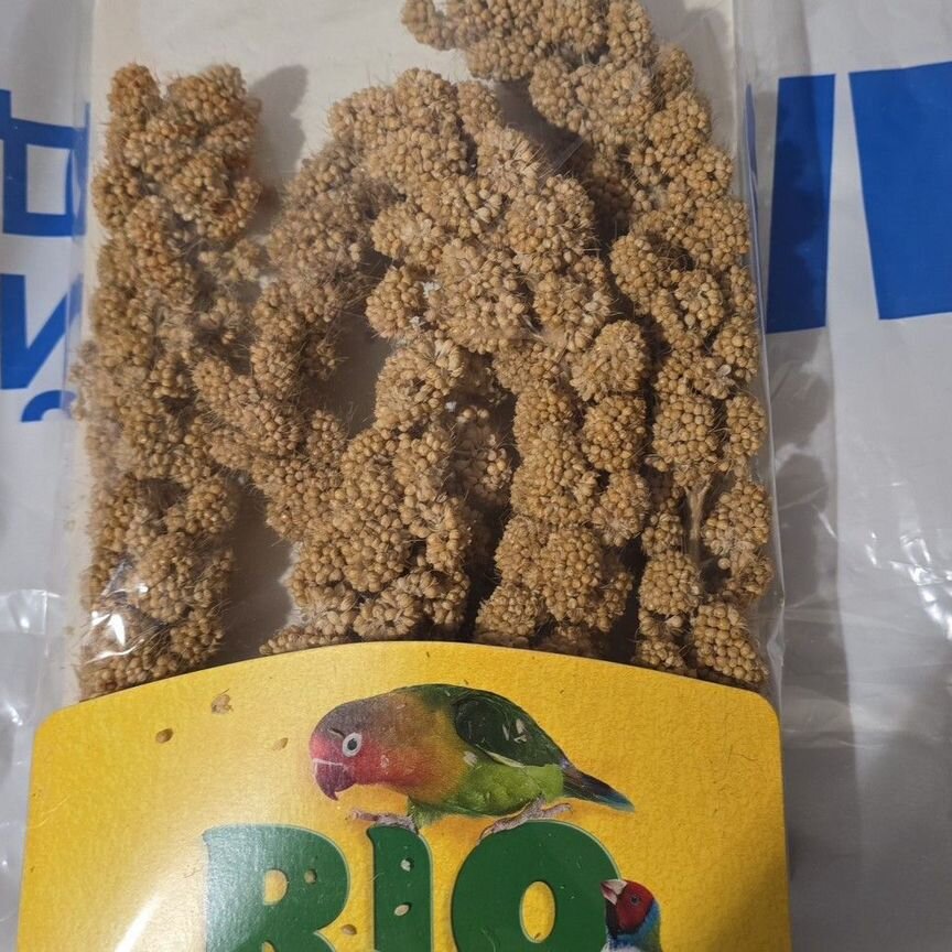 Сенегальское просо