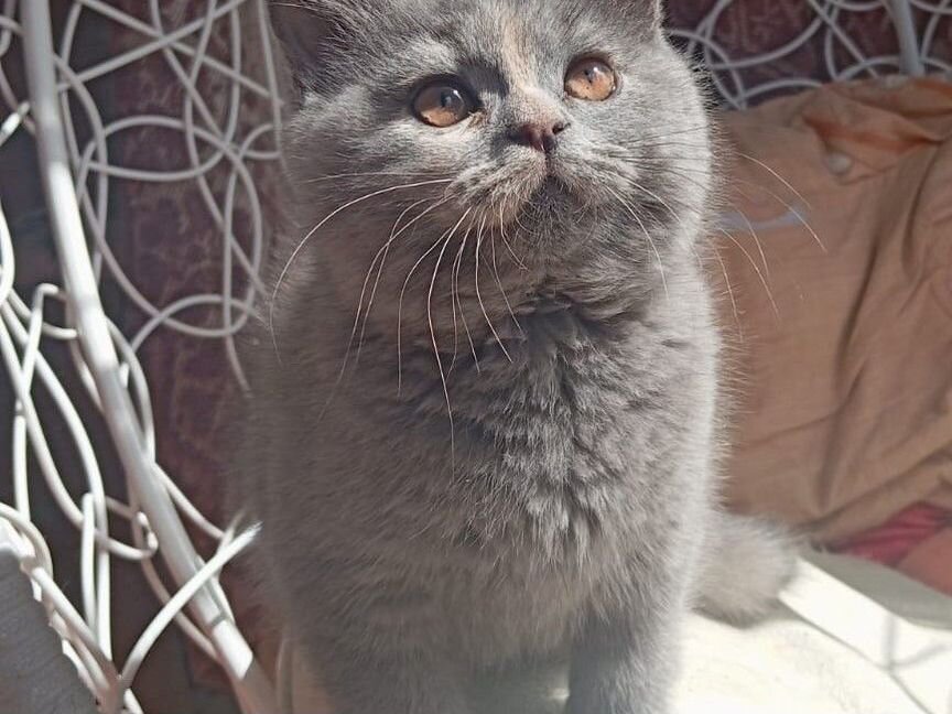 Мегаласковая девочка