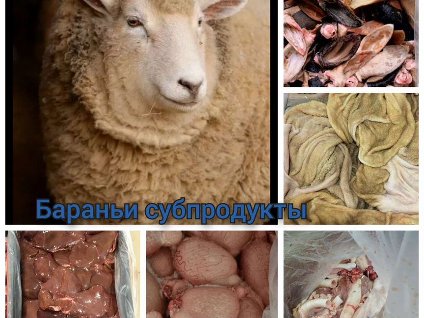 Баранина оптом и в розницу
