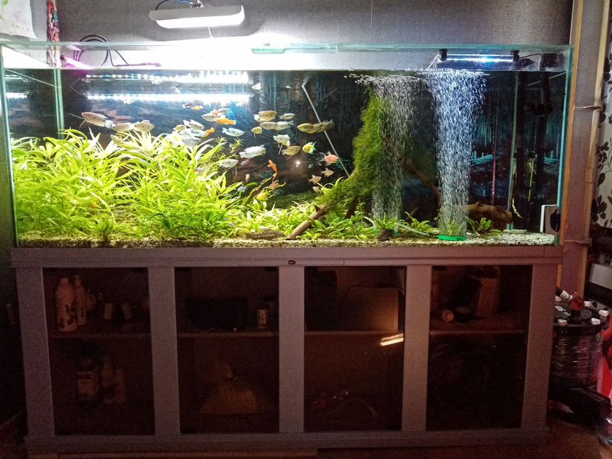 Аквариум 700 литров. На пластиковой тумбе