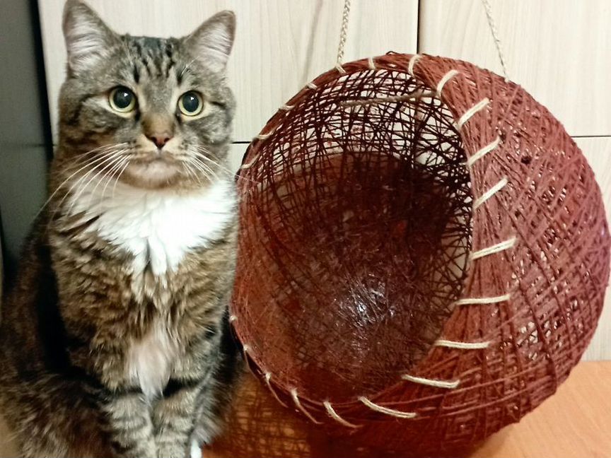 Домик для маленьких питомцев: кошки,собачки и др