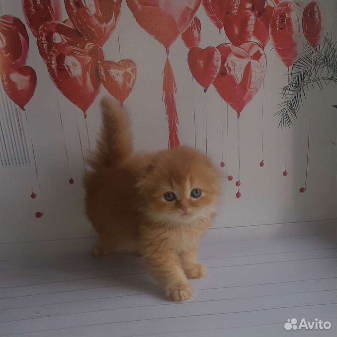 Сладкая булочка