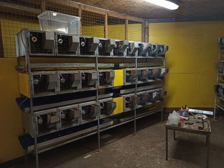 Клетки для кроликов (Для сельского хоз-ва)