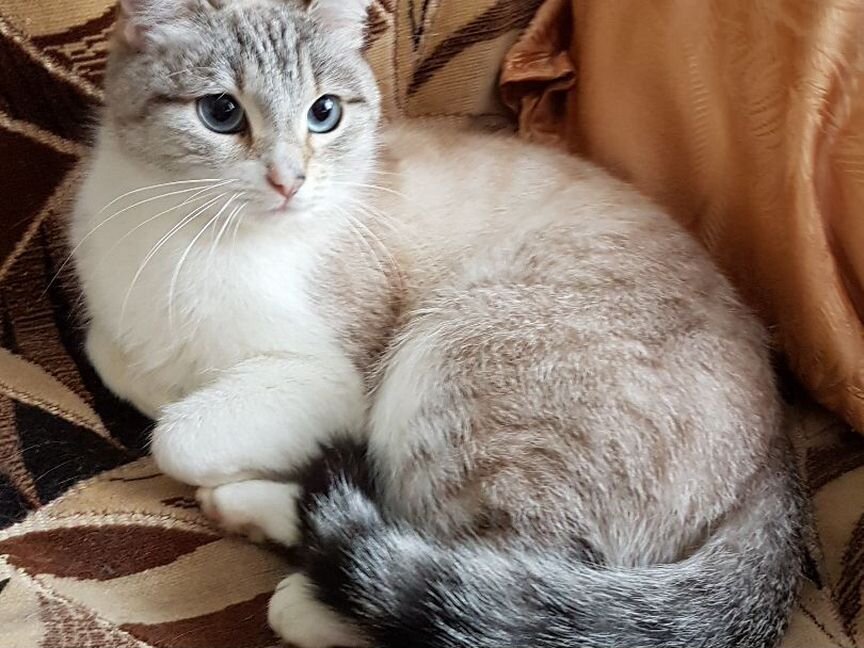 Охос азулес