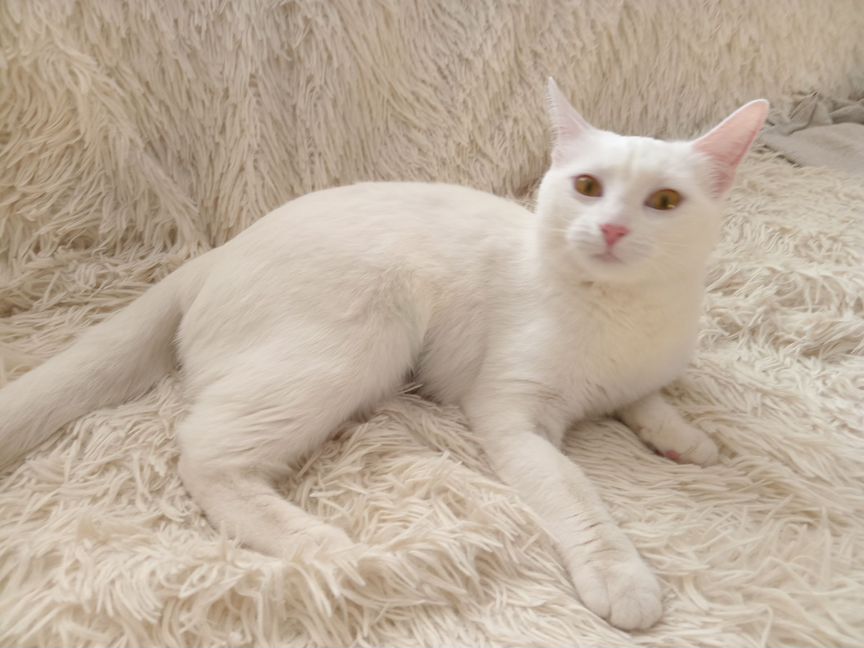 Не известно