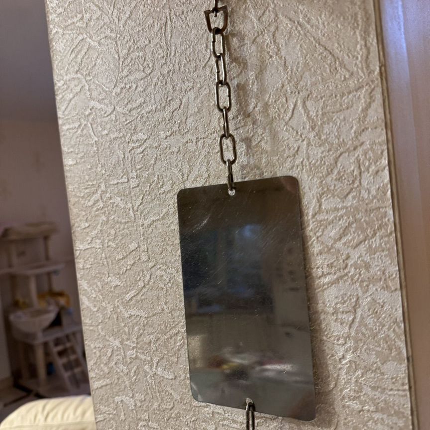 Заркало для крупного попугая