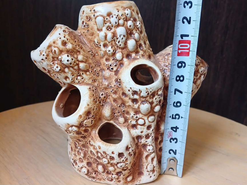 Декорации для аквариума актиния