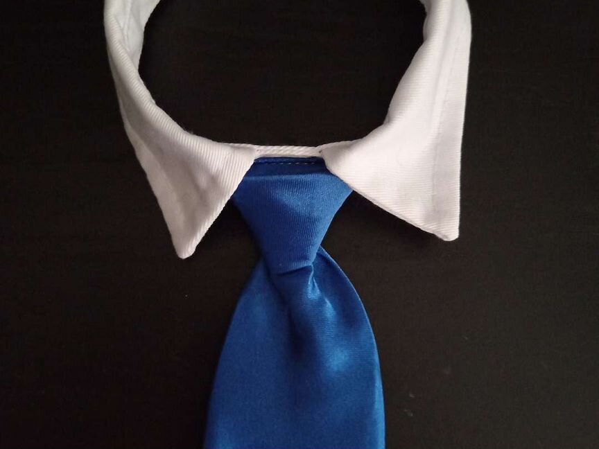 Галстук-ошейник для мелкой собаки