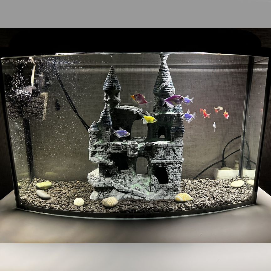 Авариум с рыбками