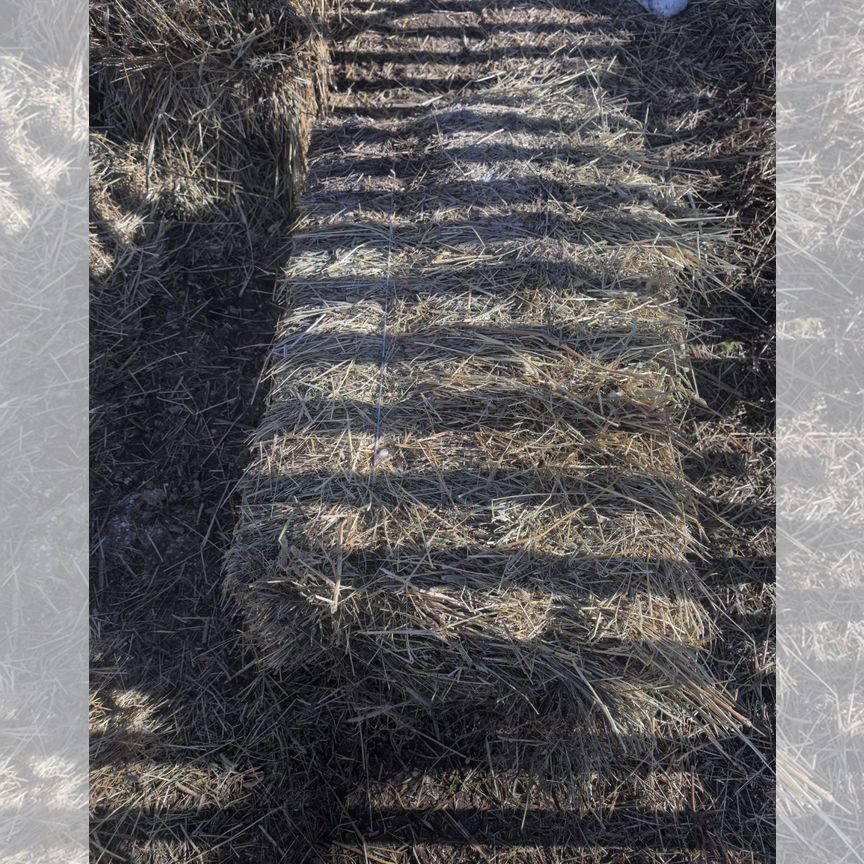 Сено в тюках (некондиция)