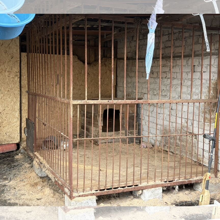 Вольер для собак уличный готовый