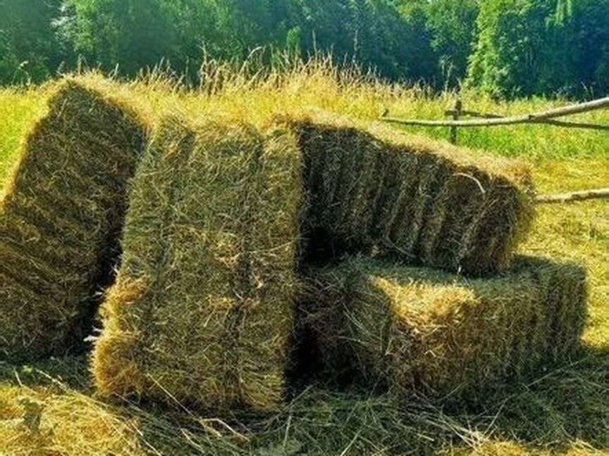 Клевер в тюках