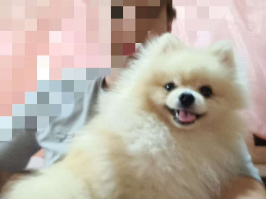 Шикарный парень в поисках семьи