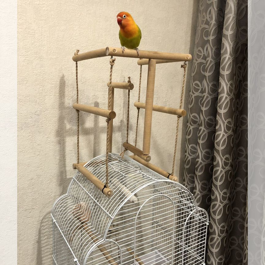 Игровой комплекс для попугаев