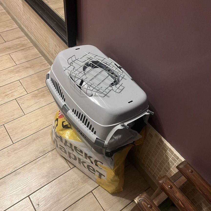 Вещи для собаки