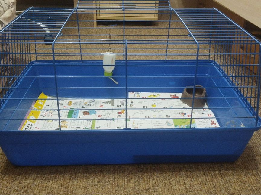 Клетка Гоша R2 для грызунов + поилка и миска